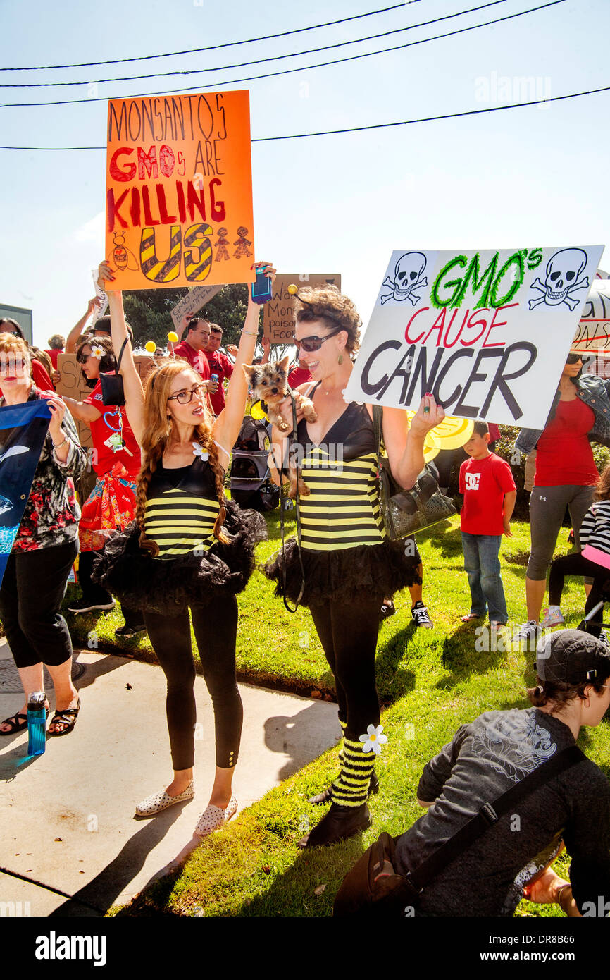 Fancy dress protest bees hi-res stock photography and images - Alamy