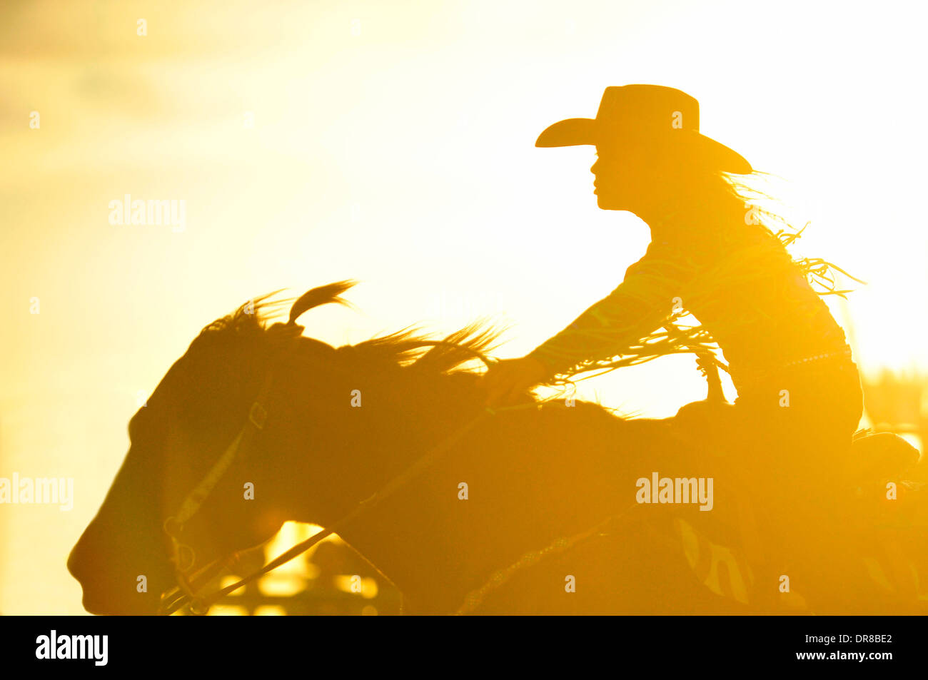 Barrel moving hi-res stock photography and images - Alamy