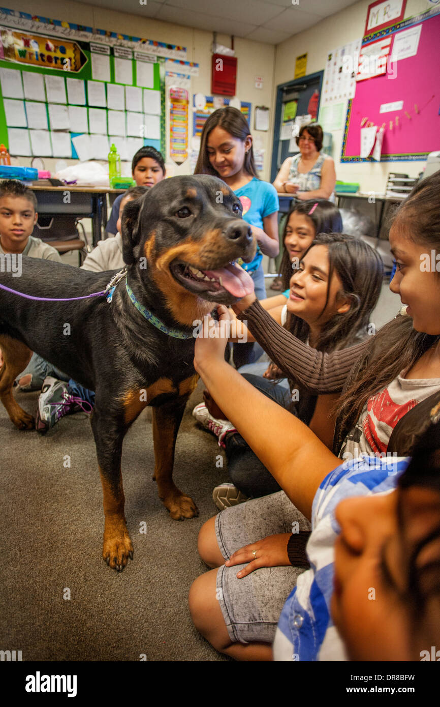 A predominantly Hispanic elementary school class in San Bernardino, CA ...