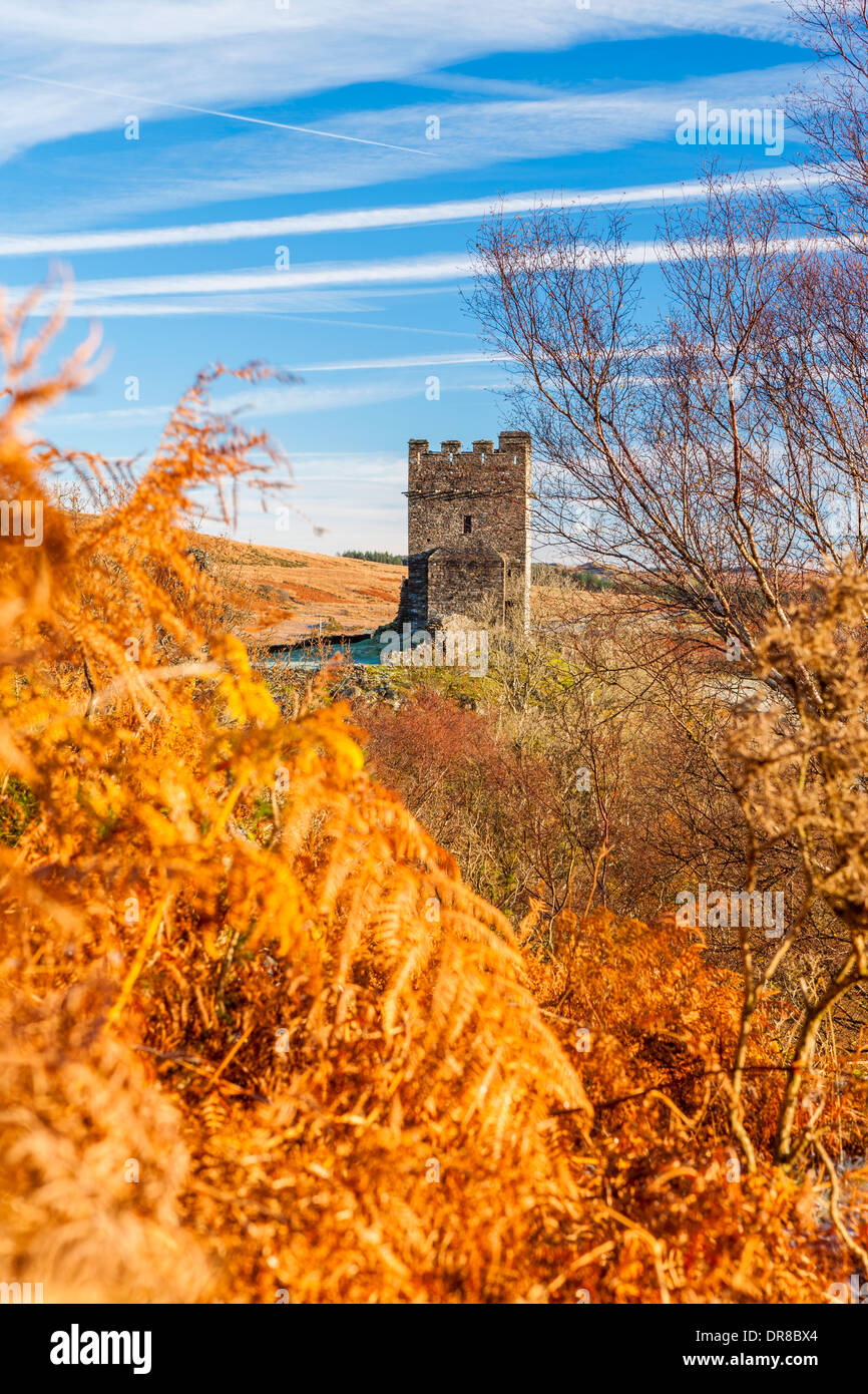 Dolwyddelan Castle (Welsh: Castell Dolwyddelan) was a native Welsh ...