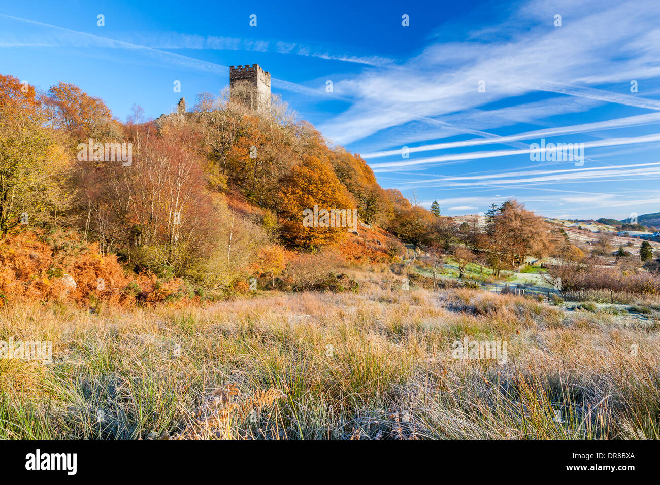 Dolwyddelan Castle (Welsh: Castell Dolwyddelan) was a native Welsh ...