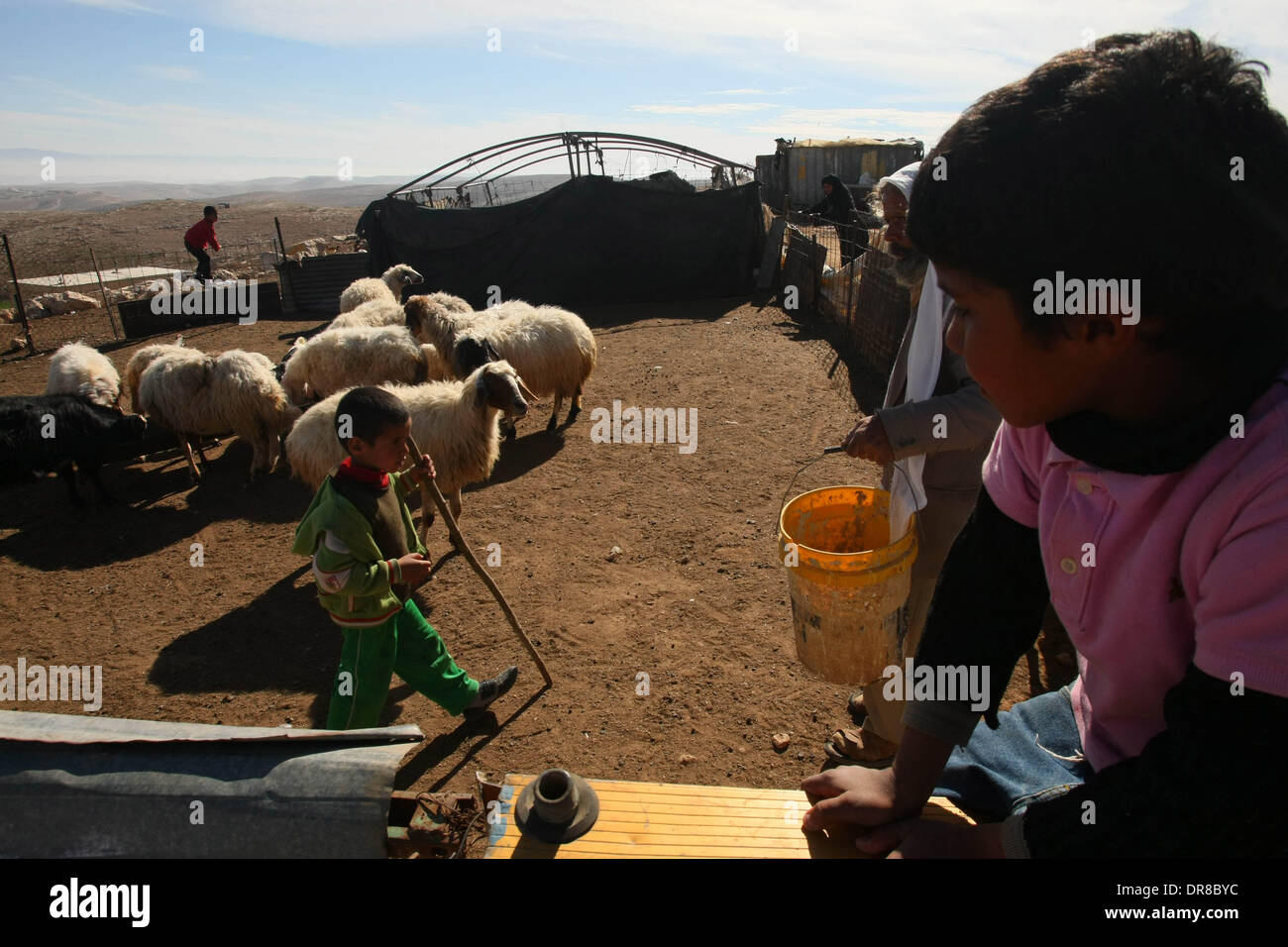 Hebron, West Bank, Palestinian Territory. 21st Jan, 2014. A Palestinian ...