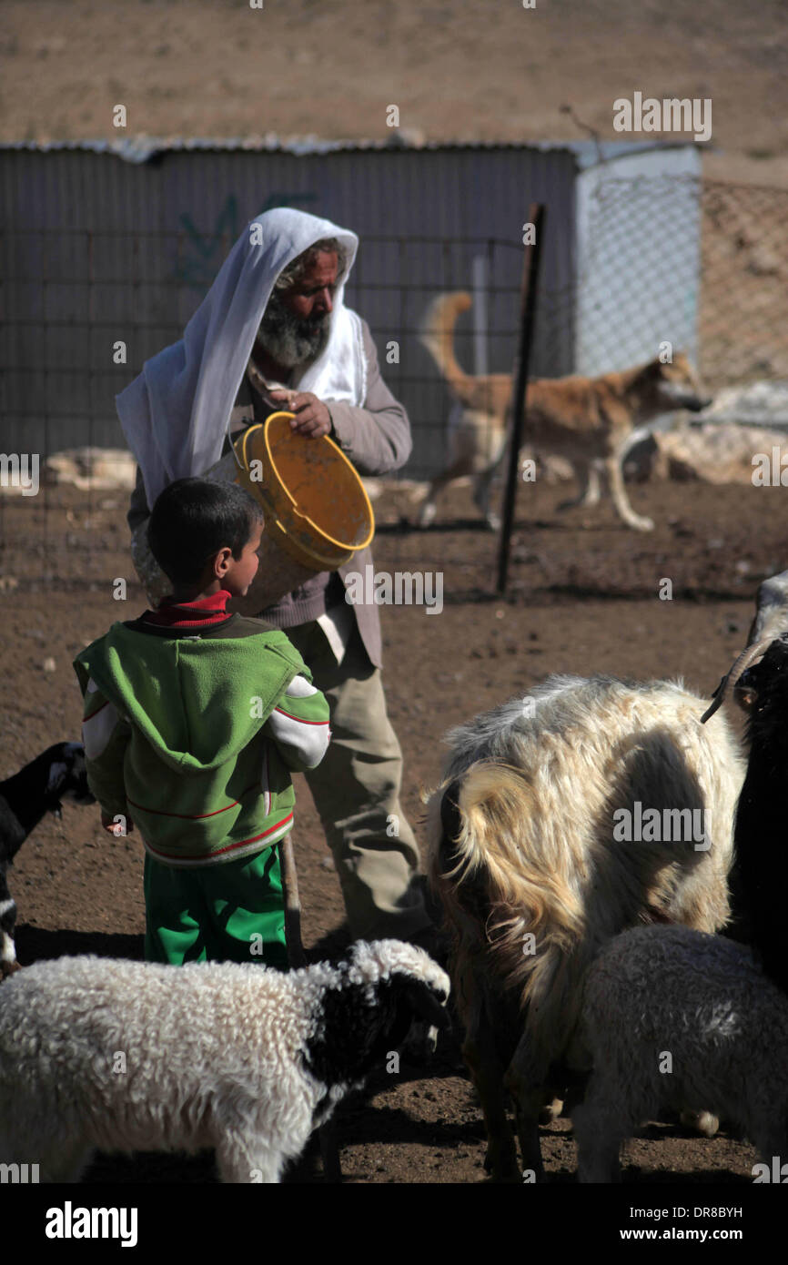 Hebron, West Bank, Palestinian Territory. 21st Jan, 2014. A Palestinian ...