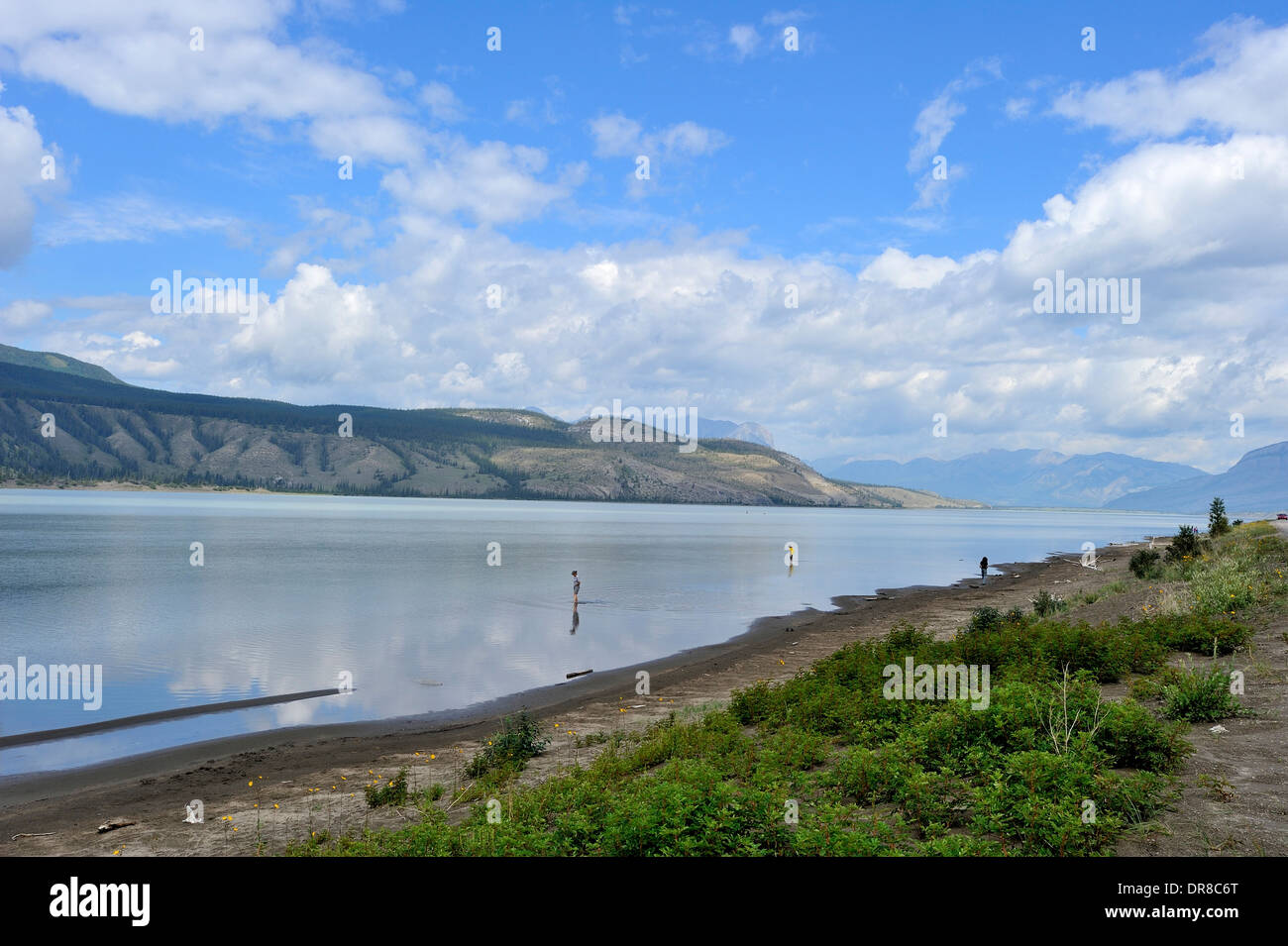 Landscape jasper hi-res stock photography and images - Alamy