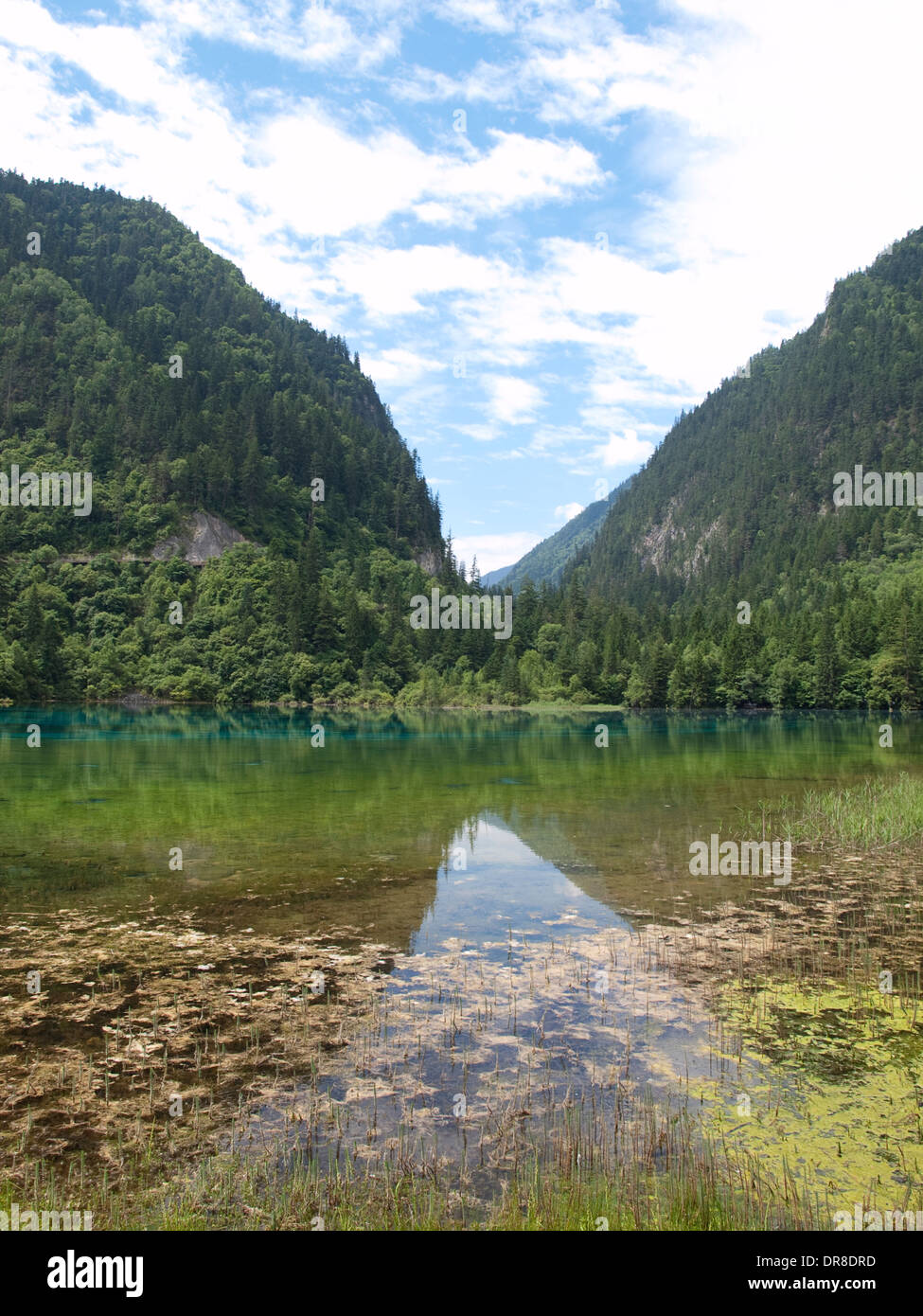 Five Flower Lake in Jiuzhaigou, China Stock Photo - Alamy