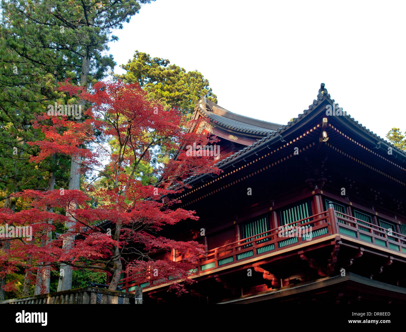 Maple leaves and temple Stock Photo - Alamy