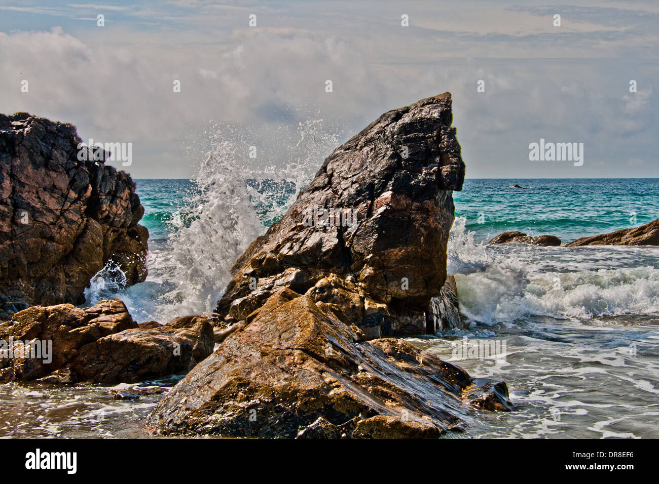 Rock looks like sharks tooth Stock Photo - Alamy