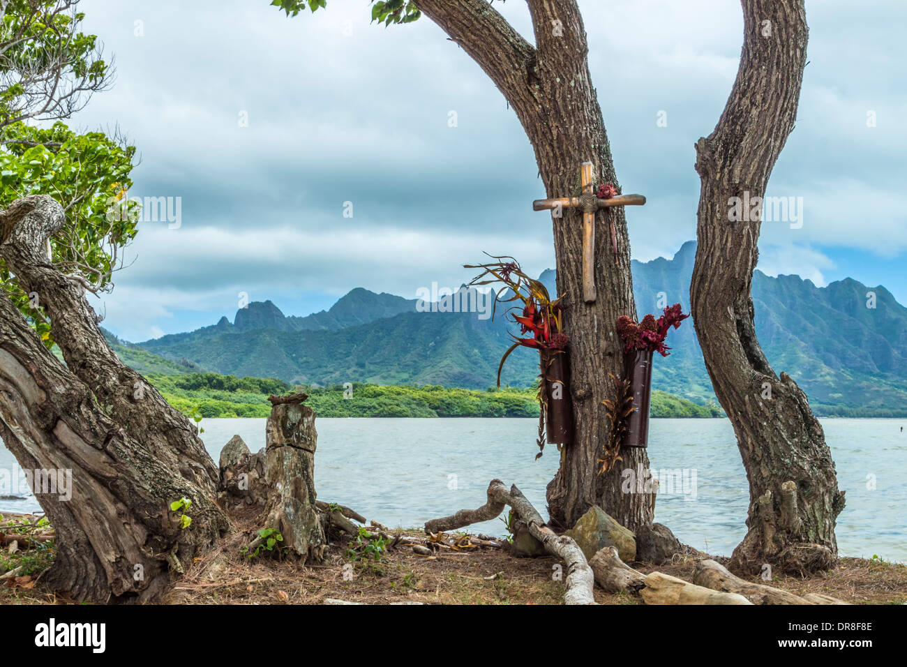Hawaiian tree memorial honoring the loss of loved ones Stock Photo - Alamy