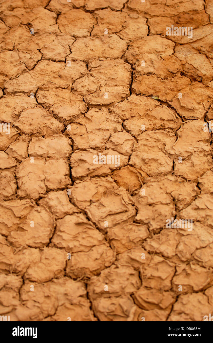 A dry water hole showing cracked mud Stock Photo - Alamy