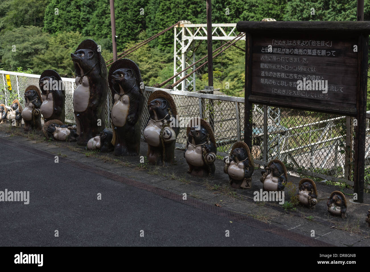 Tanuki animals are according to Japanese folklore have supernatural ...