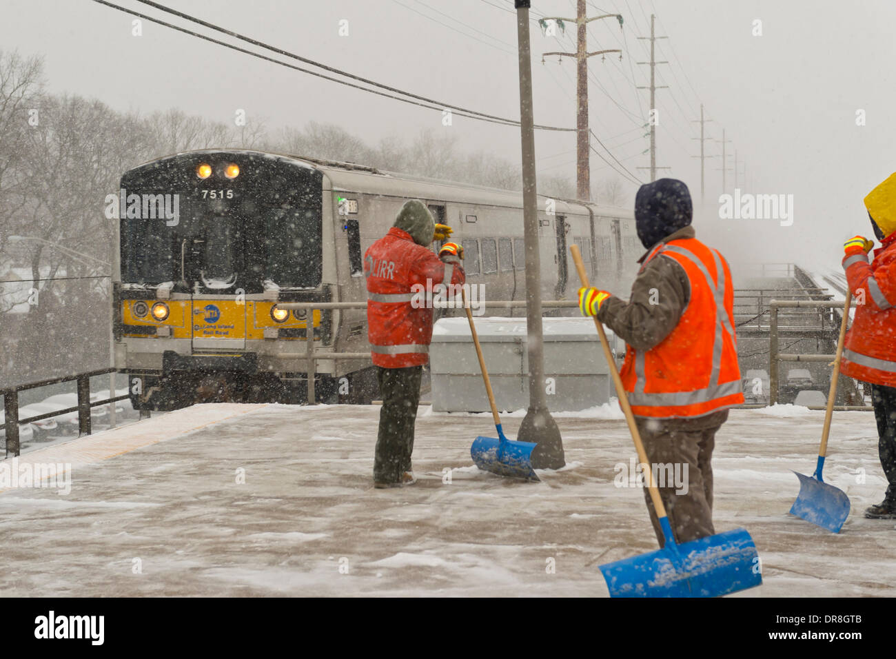 Merrick, New York, U.S. January 21, 2014. Pausing briefly for safety's ...