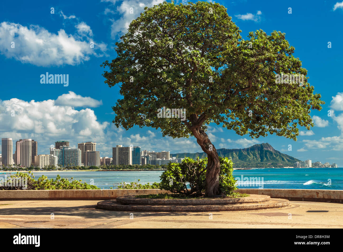 Diamond Head and Waikiki seen from Point Panic on the south shore of ...