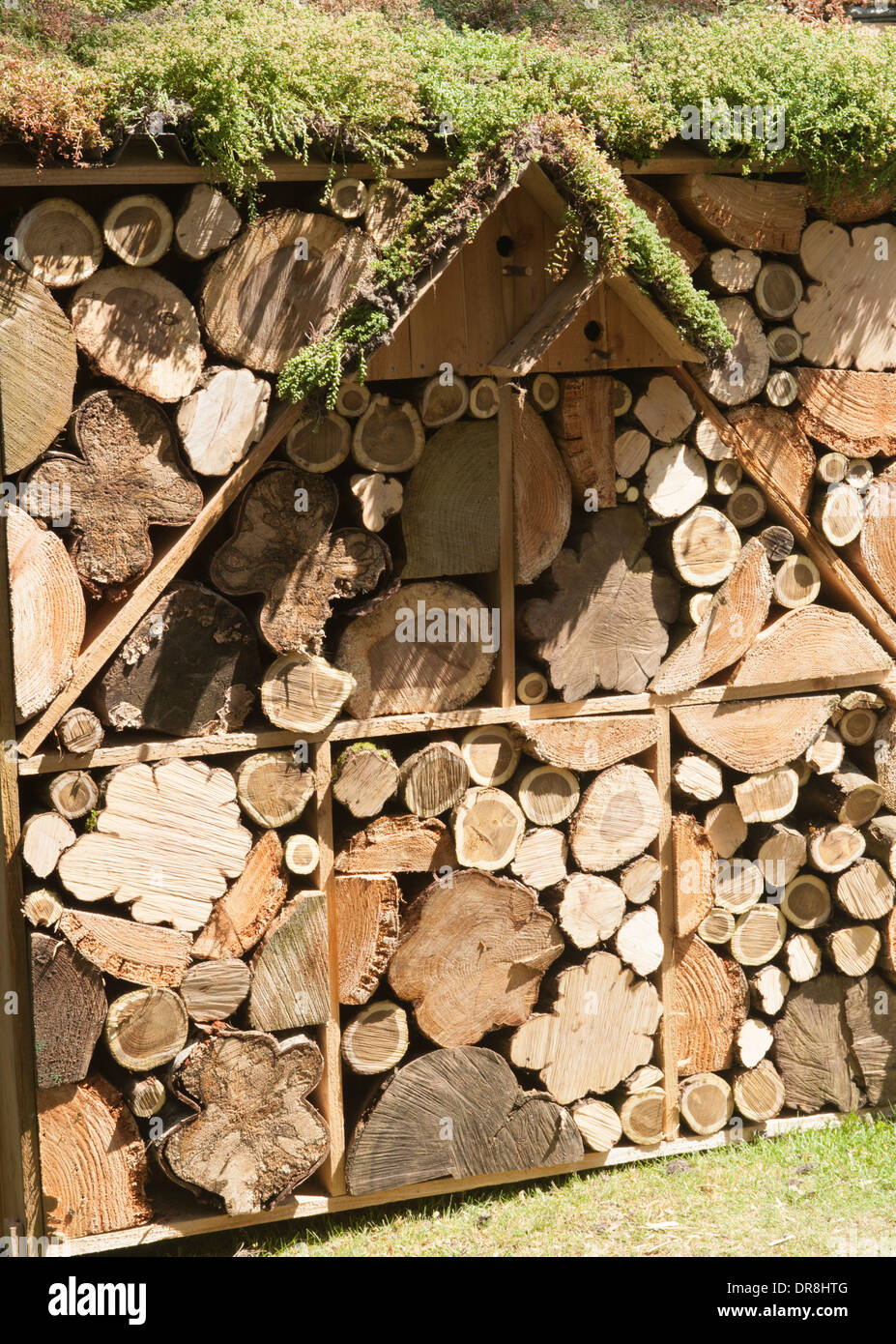 Log piles at Hellens manor house in Much Marcle Stock Photo - Alamy