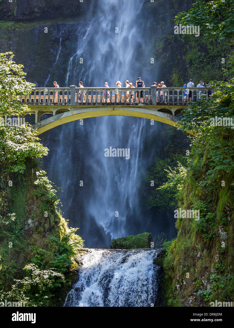 Multnomah Falls Bridge