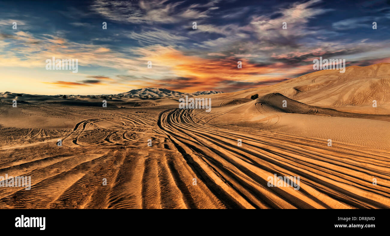Dubai safari desert hi-res stock photography and images - Alamy