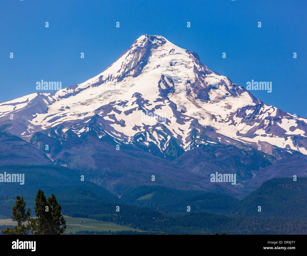 HOOD RIVER, OREGON, USA - Mount Hood, a 11,240 foot volcano in the ...
