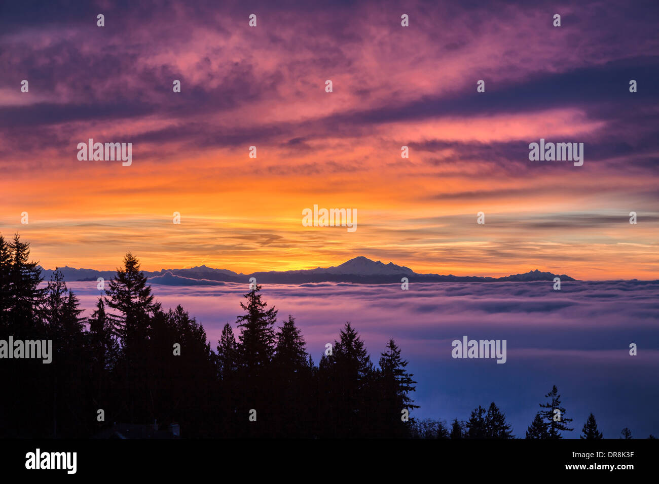 View Of Mount Baker From Canada High Resolution Stock Photography and ...
