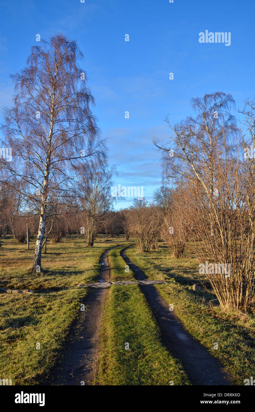 Countryside road in an old Swedish rural landscape Stock Photo - Alamy