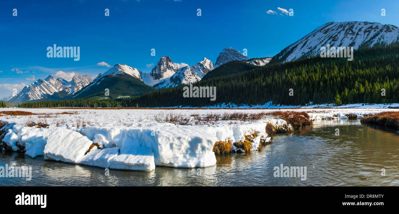 Mountain meadow in spring, Kananaskis Country Alberta Canada Stock ...