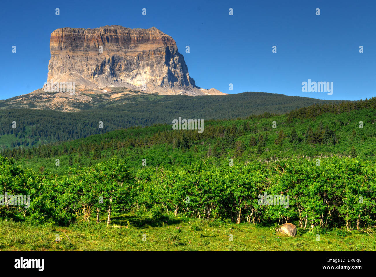 Chief Mountain in the summer, Alberta Canada Stock Photo - Alamy