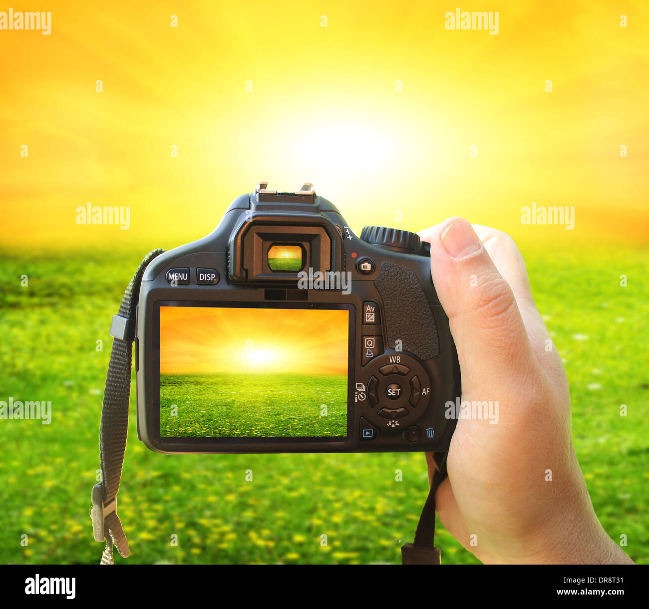 landscape on cam display Stock Photo - Alamy