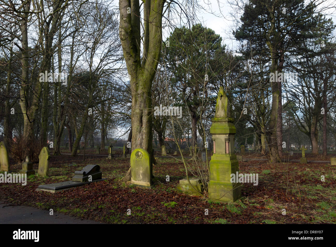 Winter in the atmospheric Linthorpe Cemetery Nature Reserve with old ...