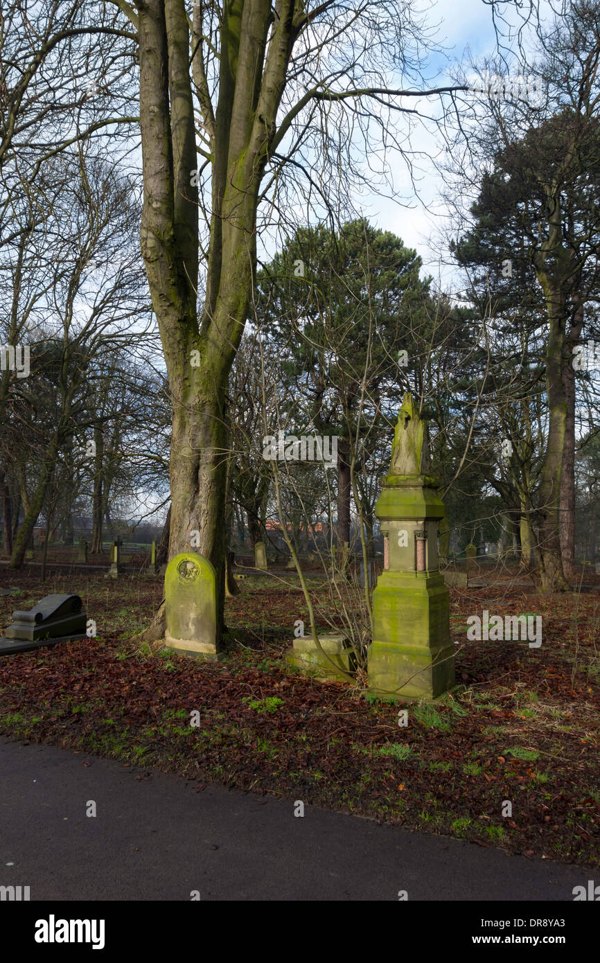 Winter in the atmospheric Linthorpe Cemetery Nature Reserve with old ...