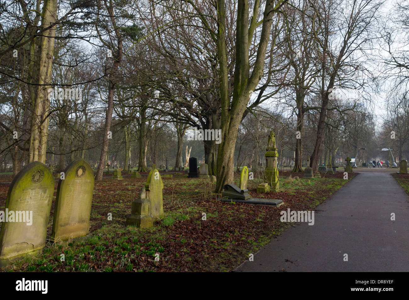 Linthorpe Cemetery High Resolution Stock Photography and Images - Alamy