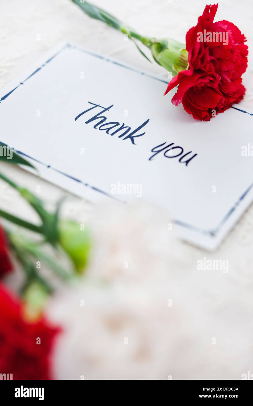 Thank you flower hi-res stock photography and images - Alamy