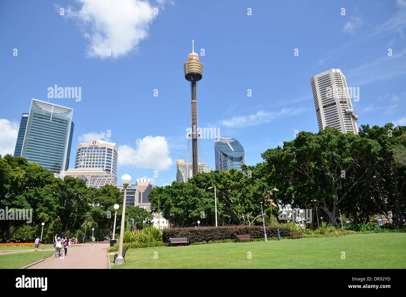 Sydney from westfield tower hi-res stock photography and images - Alamy