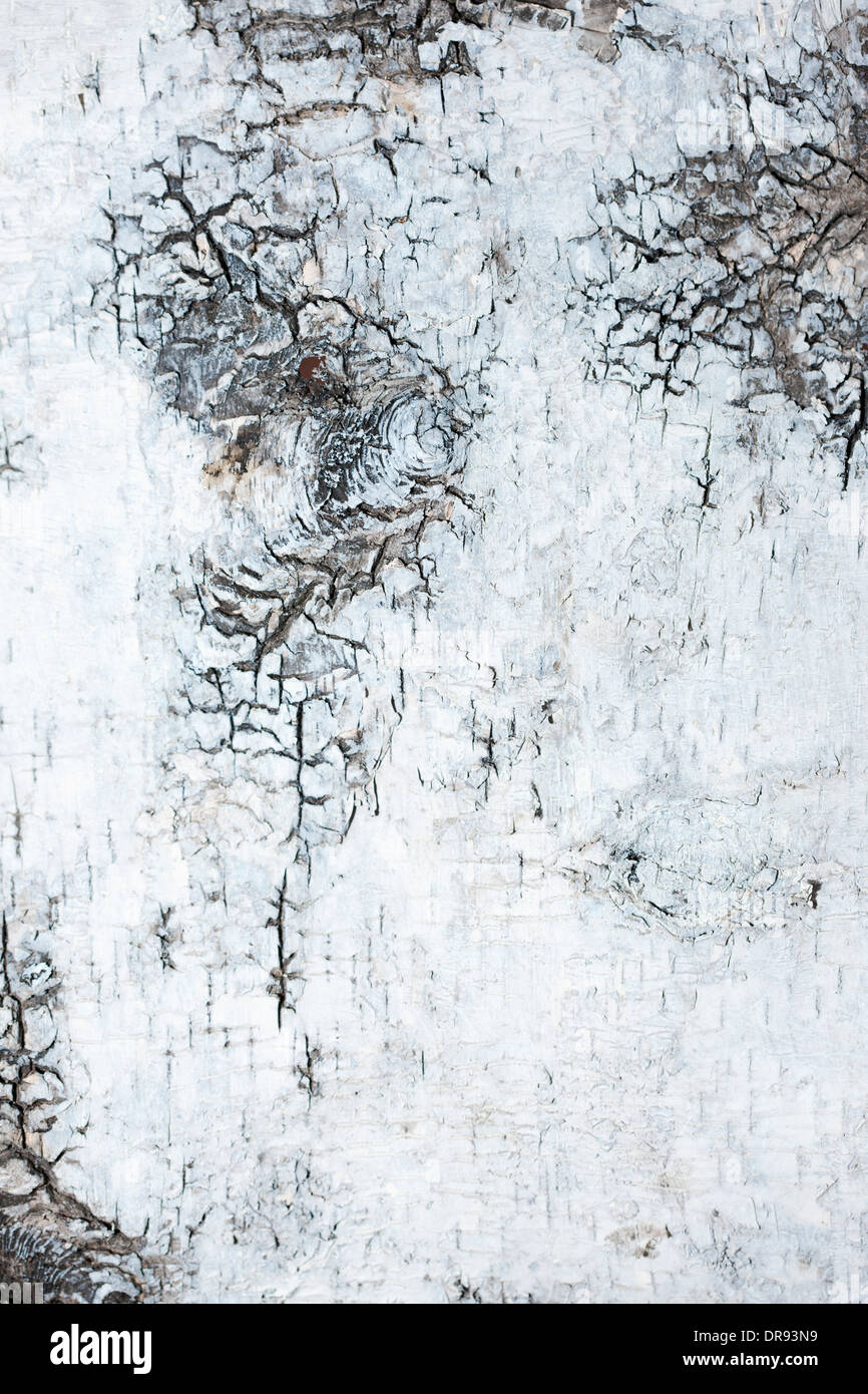 Wood husk hi-res stock photography and images - Alamy