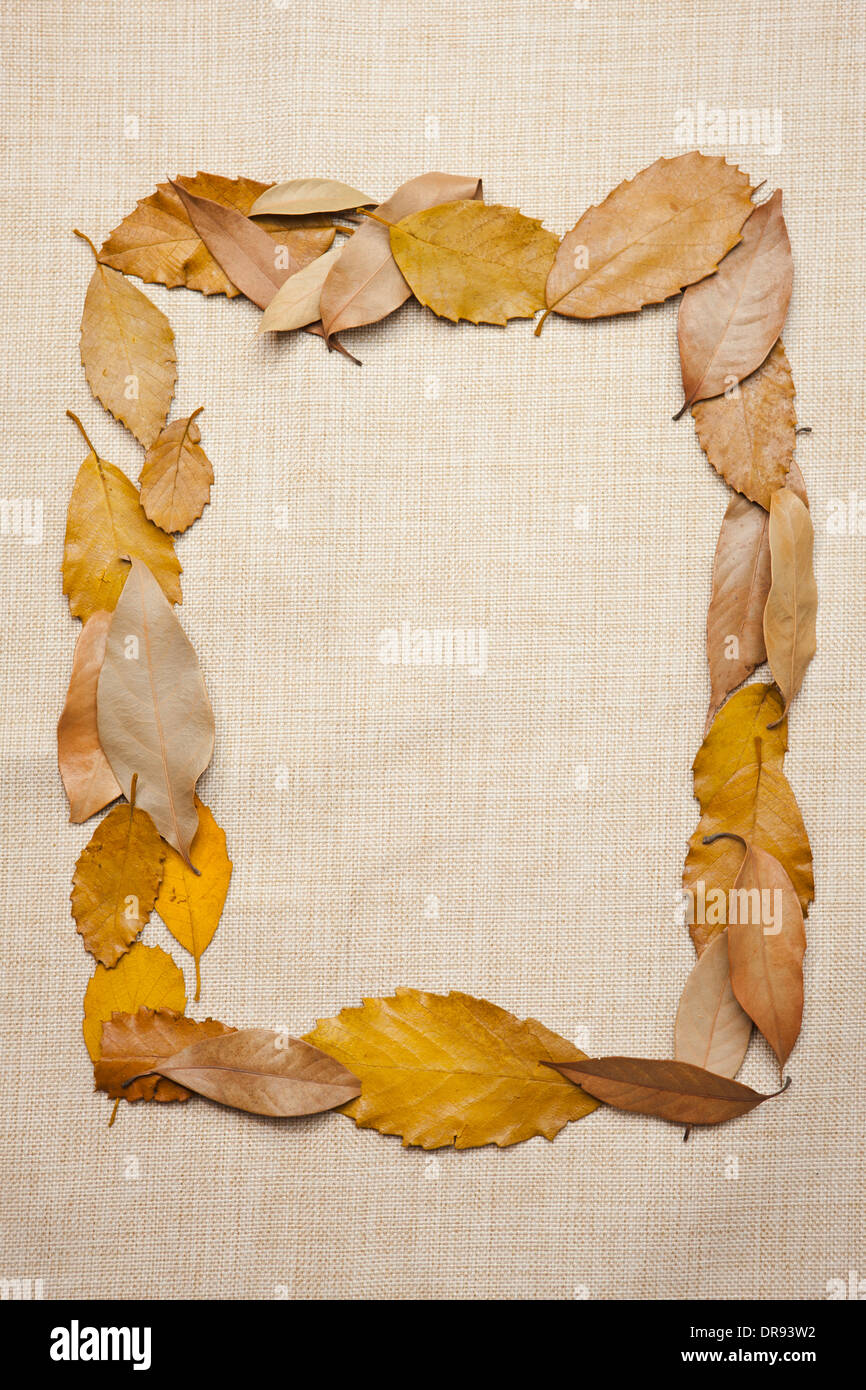 Square leaves hi-res stock photography and images - Alamy