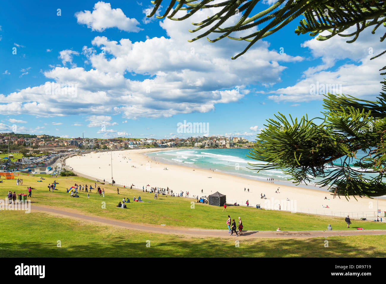 bondi beach view in sydney australia Stock Photo - Alamy