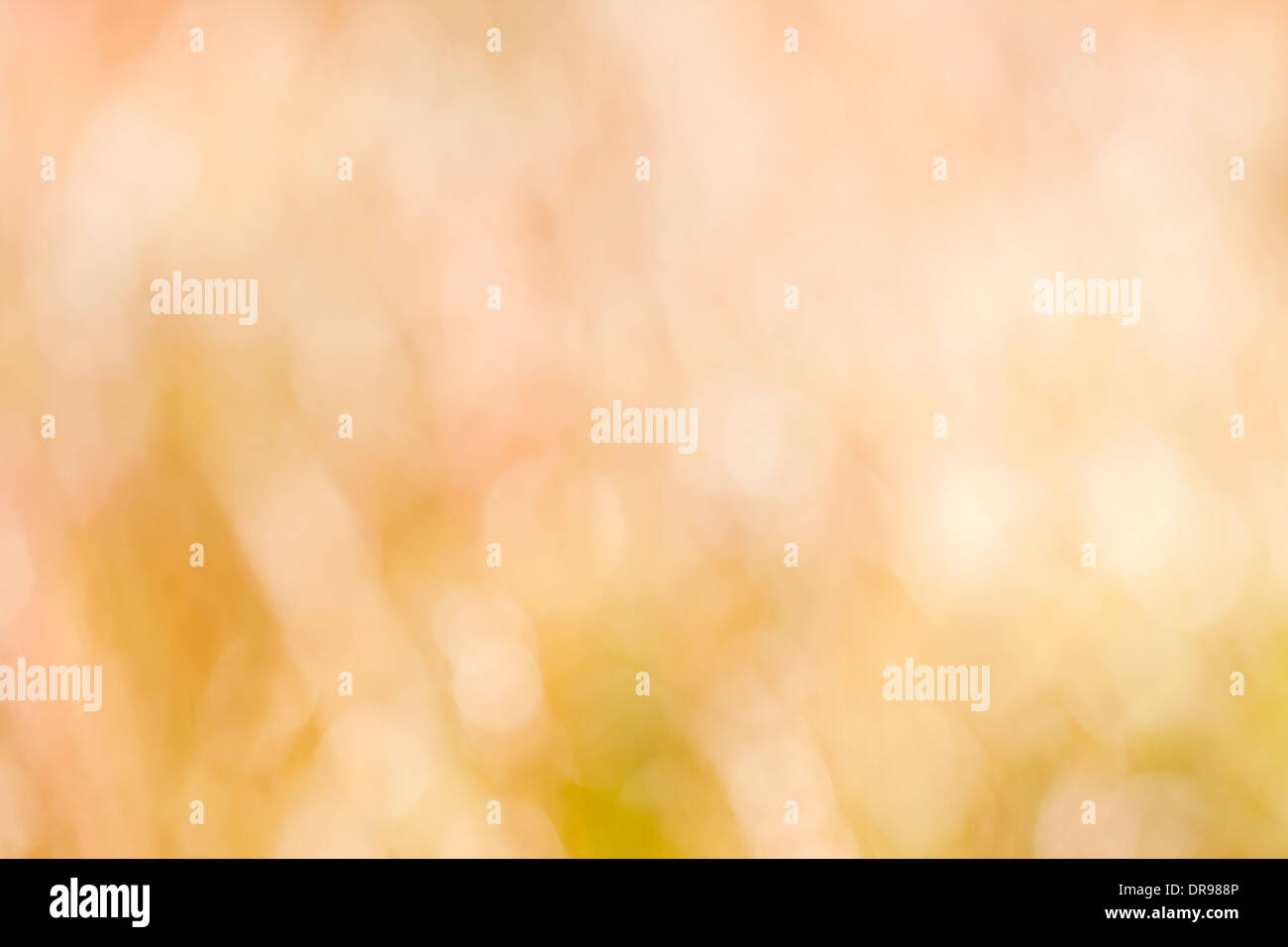 Yellow soft texture hi-res stock photography and images - Alamy
