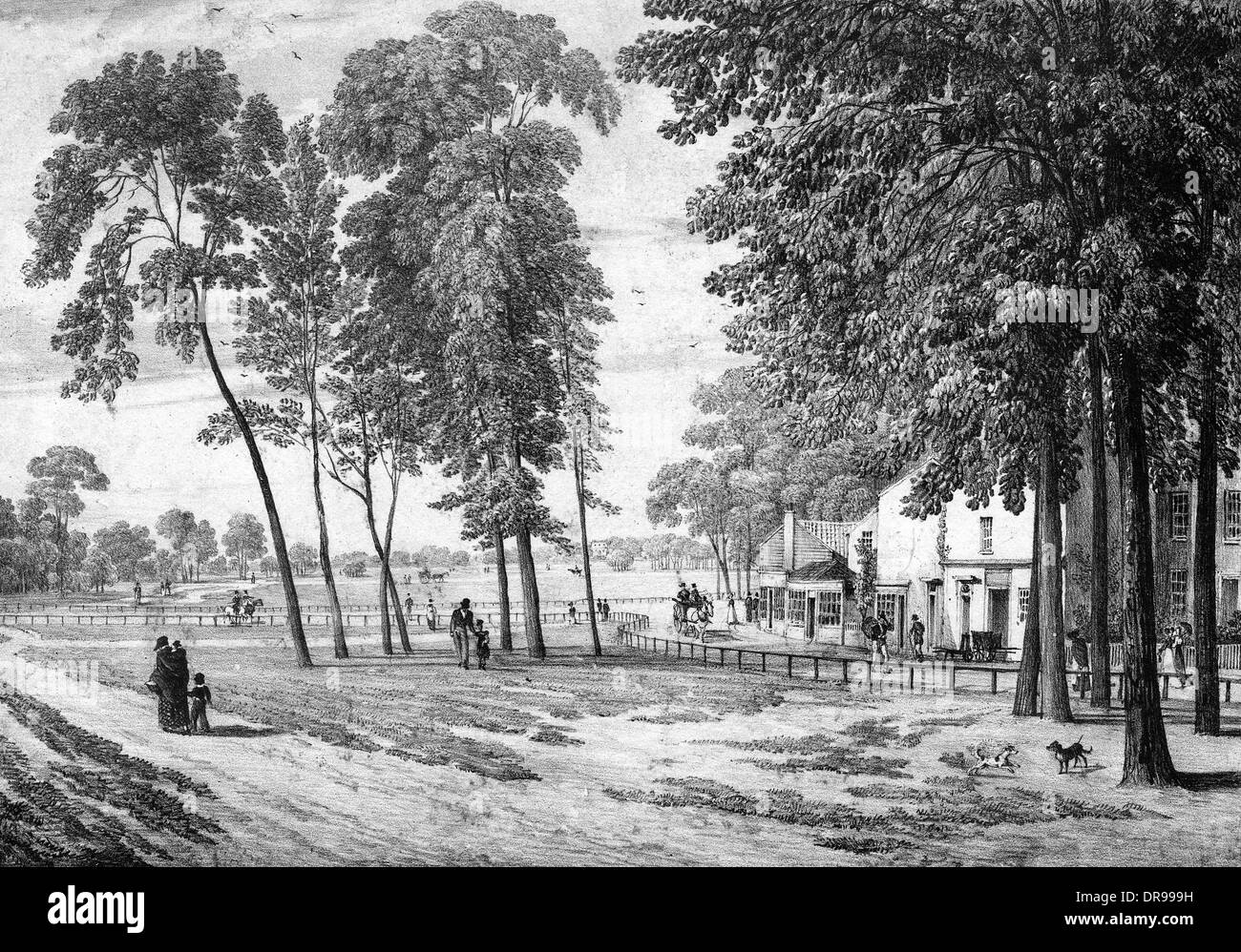 Common hi-res stock photography and images - Alamy