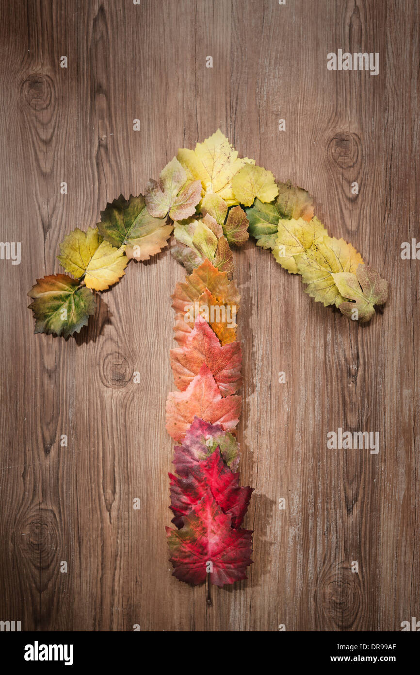 autumn leaves forming an arrow in wood background Stock Photo - Alamy