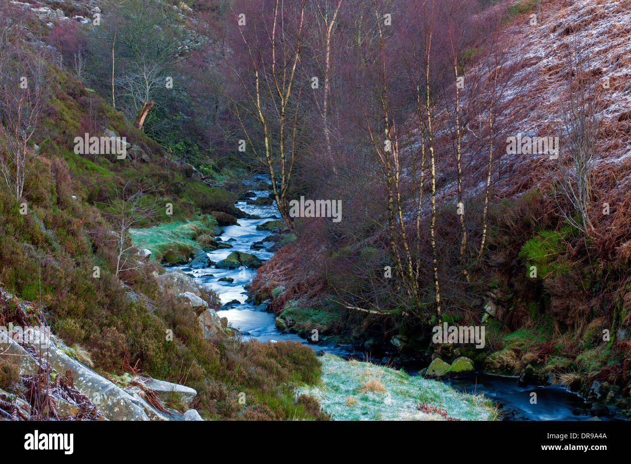 River Goyt Flowing Through Valley Stock Photo - Alamy