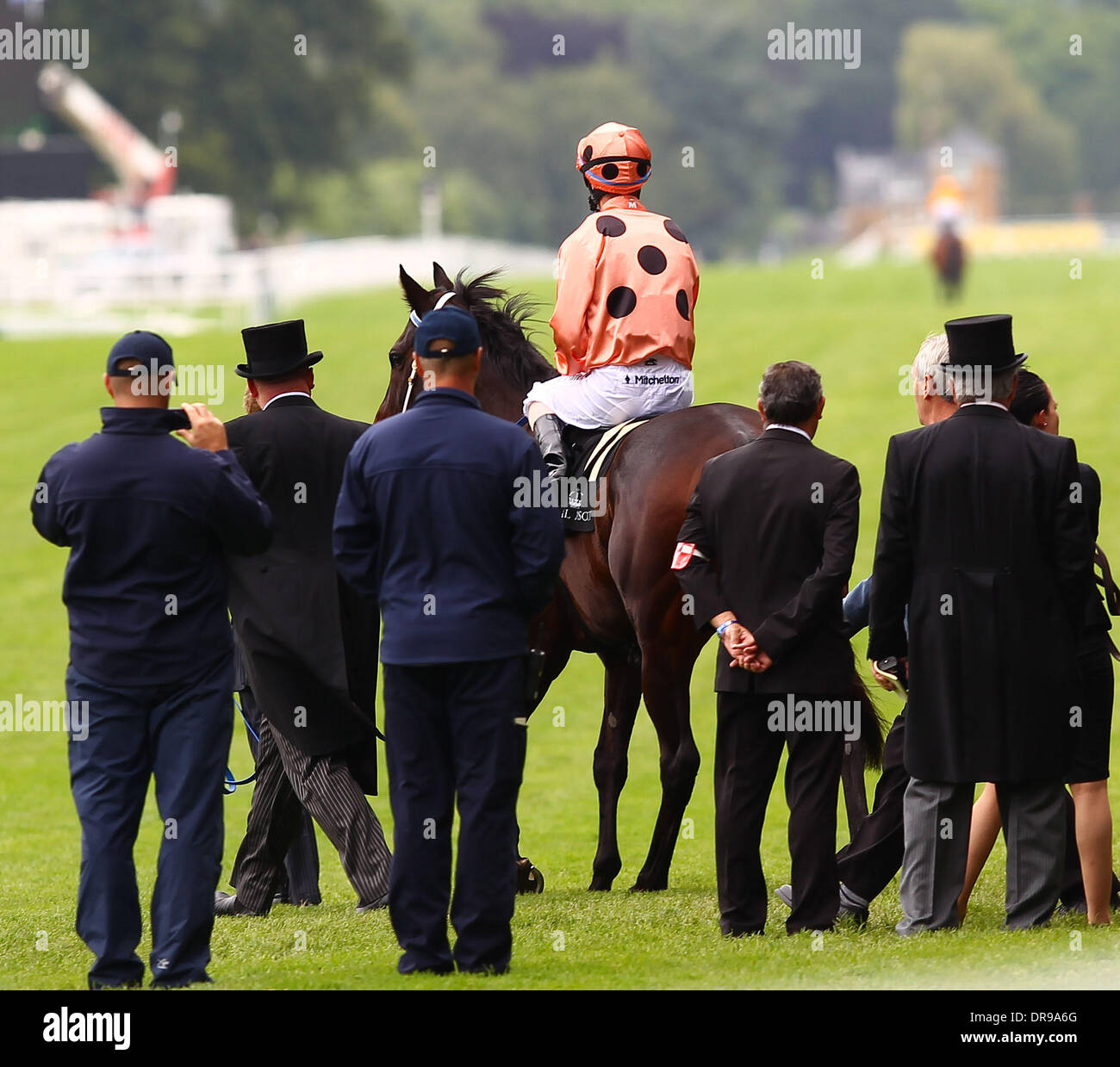 Black caviar royal ascot hi-res stock photography and images - Alamy