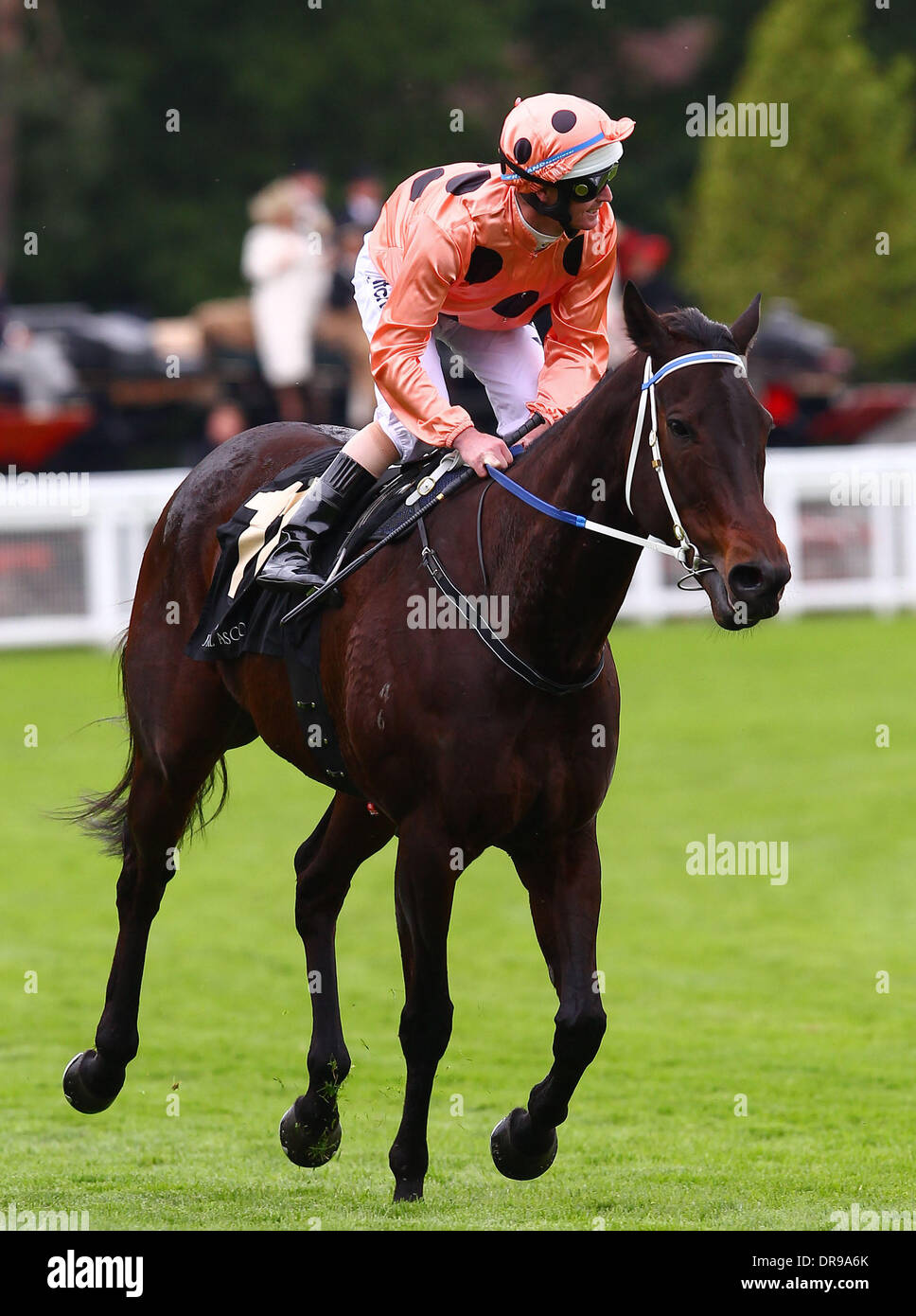 Jockey Luke Nolan who rides Black Caviar wins the Diamond Jubilee ...