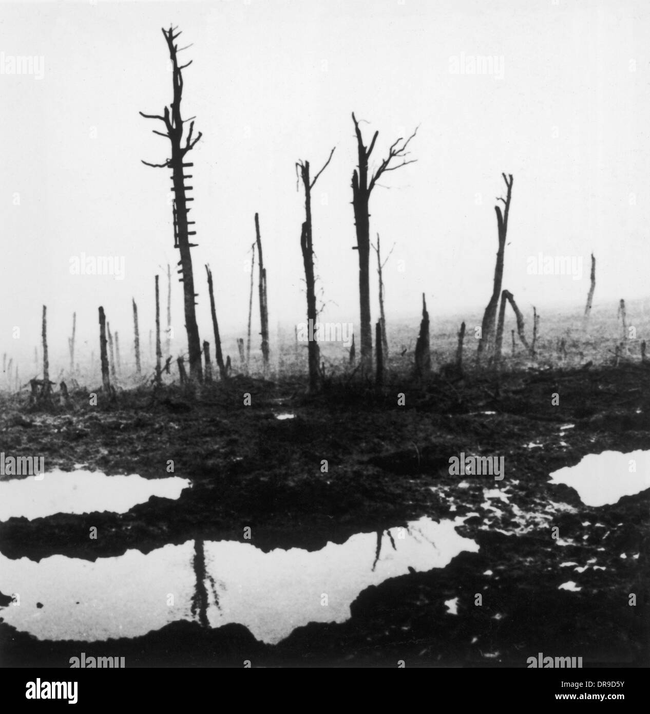After the Third Battle of Ypres, Belgium, WW1 Stock Photo - Alamy