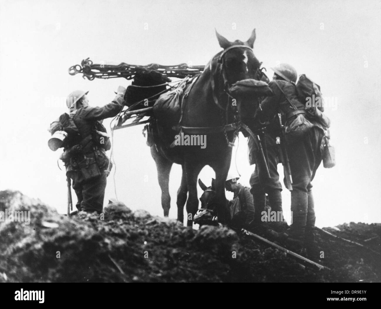 Battle of Flanders Stock Photo - Alamy