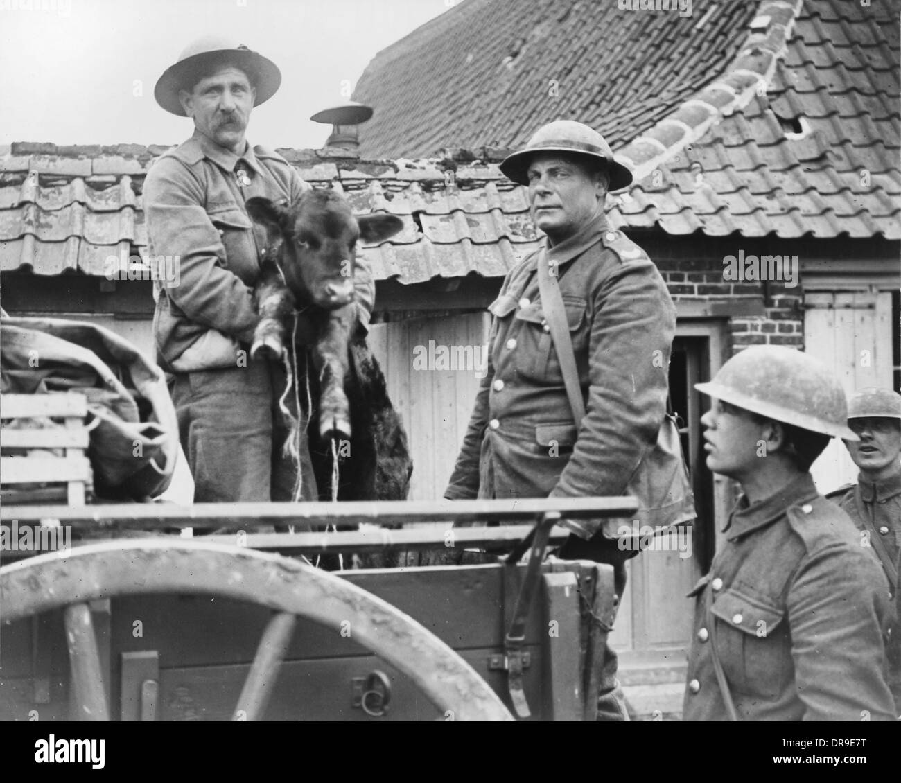 Soldiers and animals Black and White Stock Photos & Images - Alamy