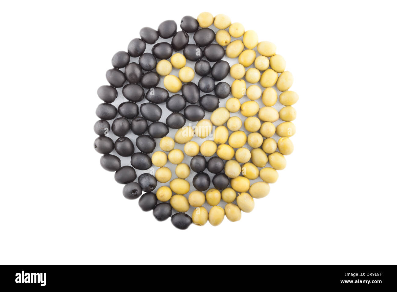 Olive yang hi-res stock photography and images - Alamy
