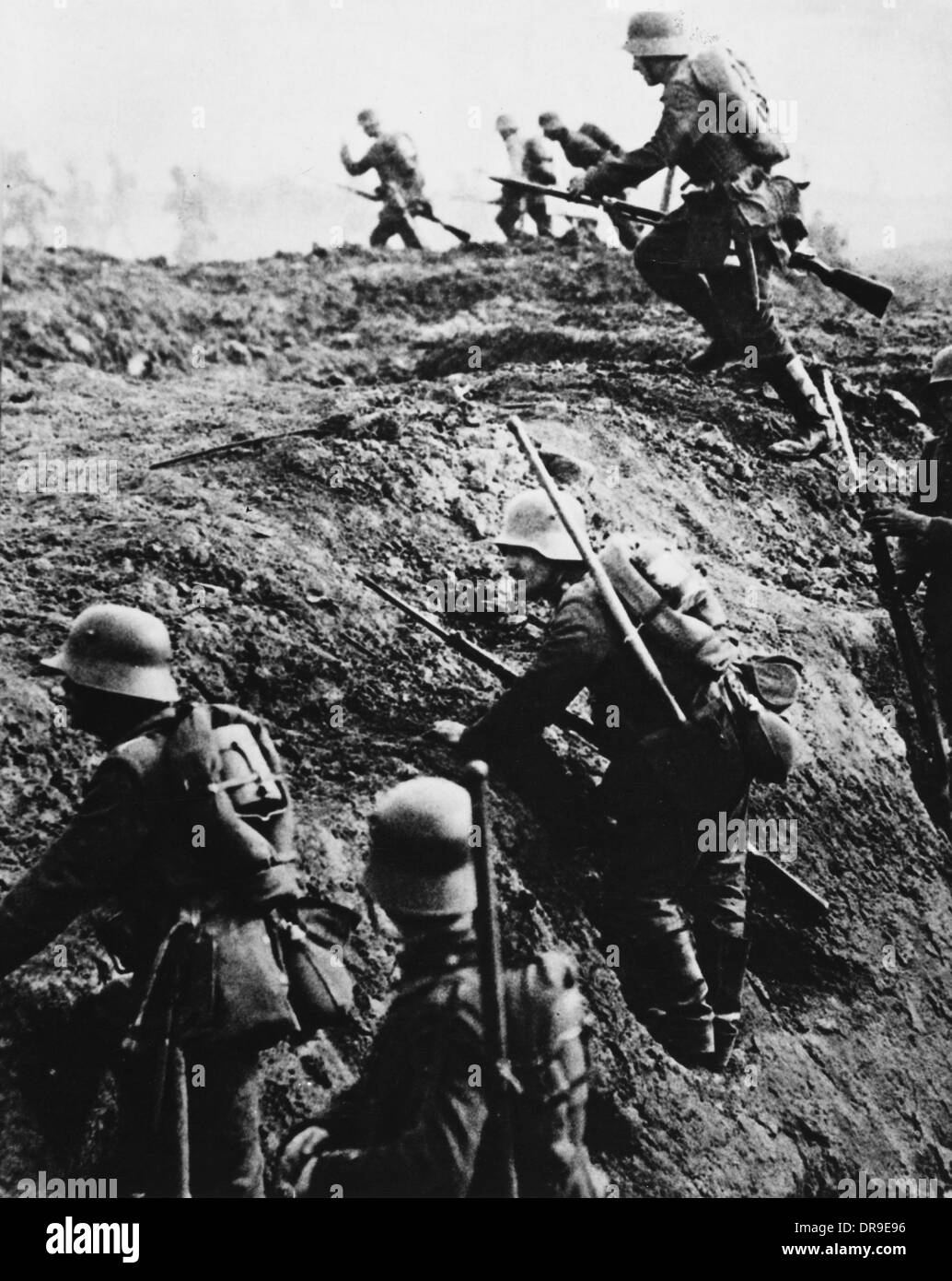 Lys 1918 hi-res stock photography and images - Alamy