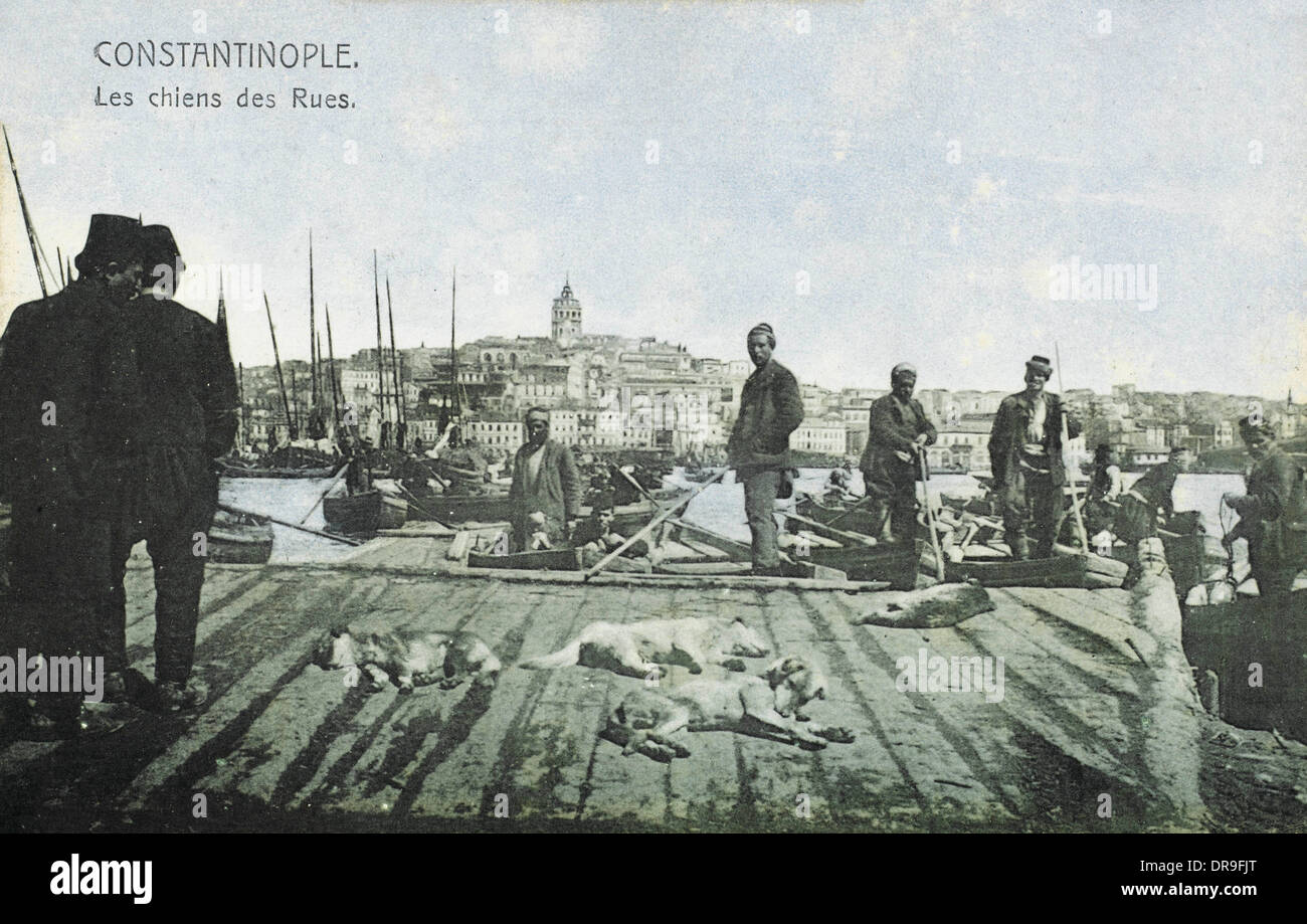 1920s constantinople hi-res stock photography and images - Alamy
