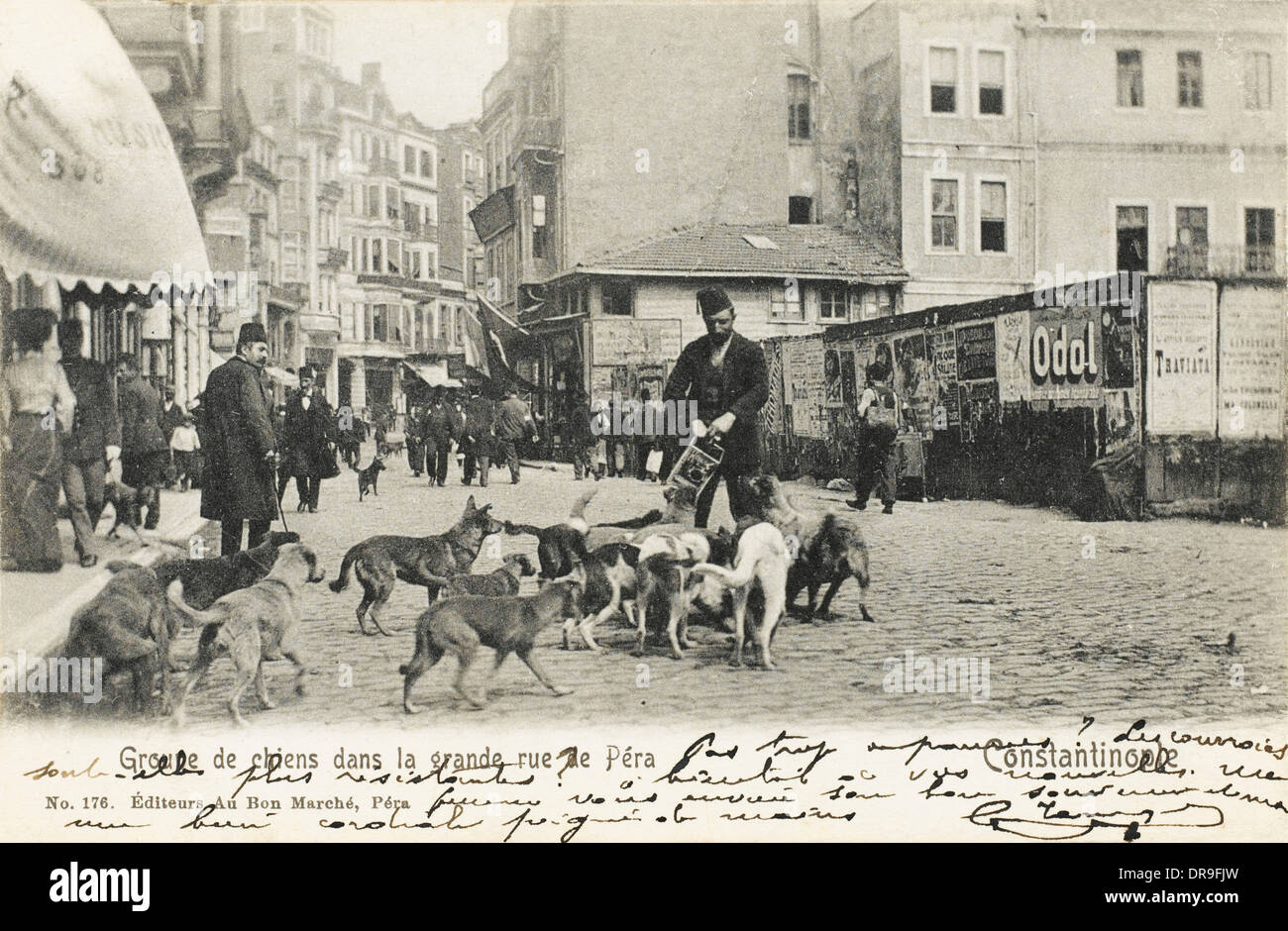 Street Dogs - Constantinople, Turkey Stock Photo - Alamy
