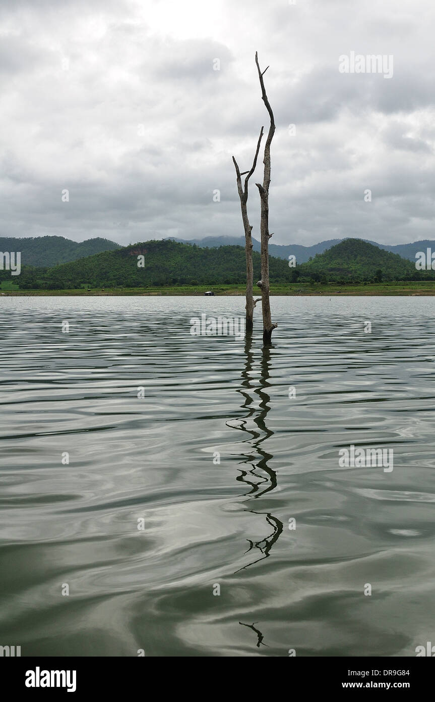 Feel Lonely Stump In Lake Stock Photo - Alamy