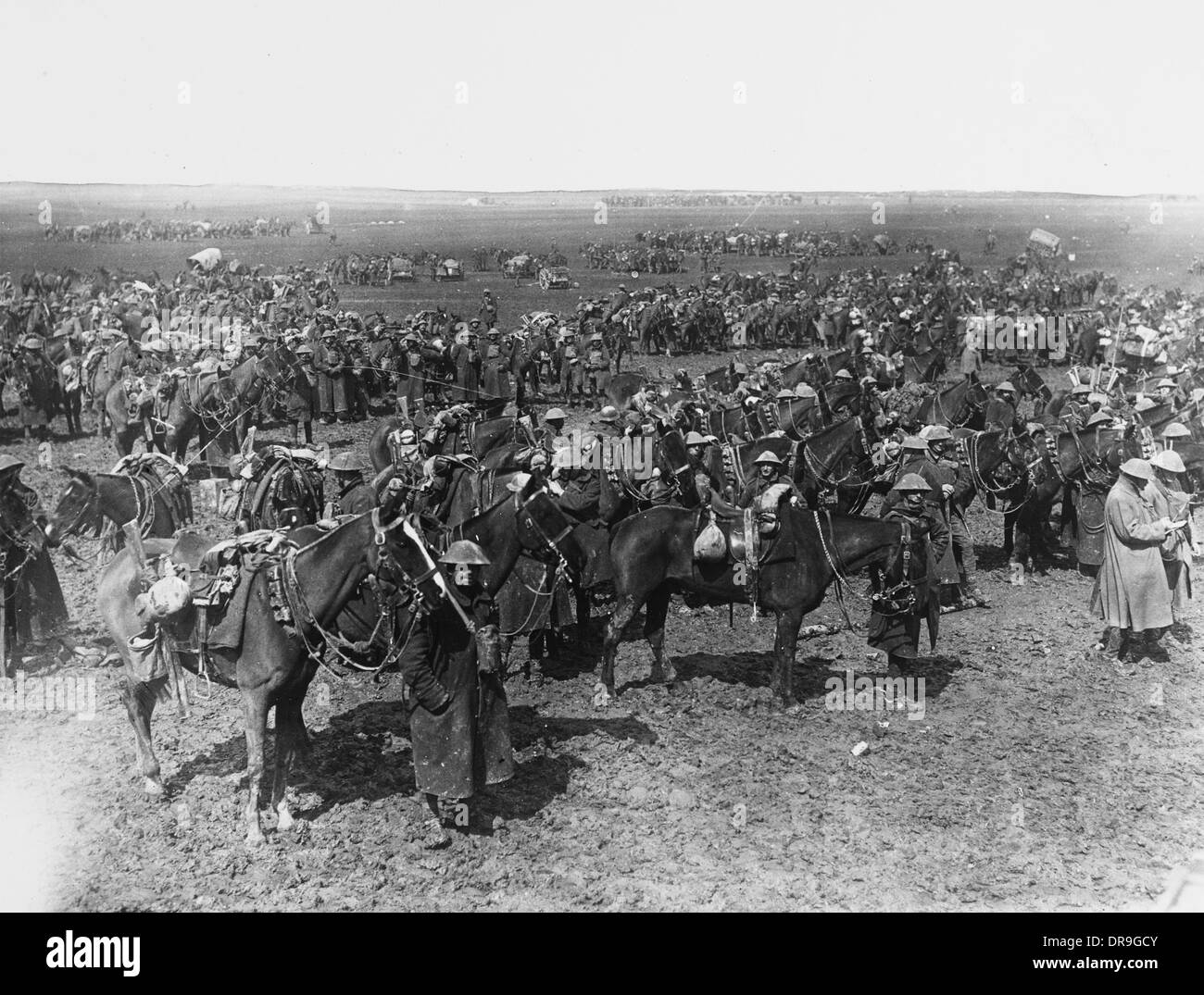 British Cavalry Wwi High Resolution Stock Photography and Images - Alamy