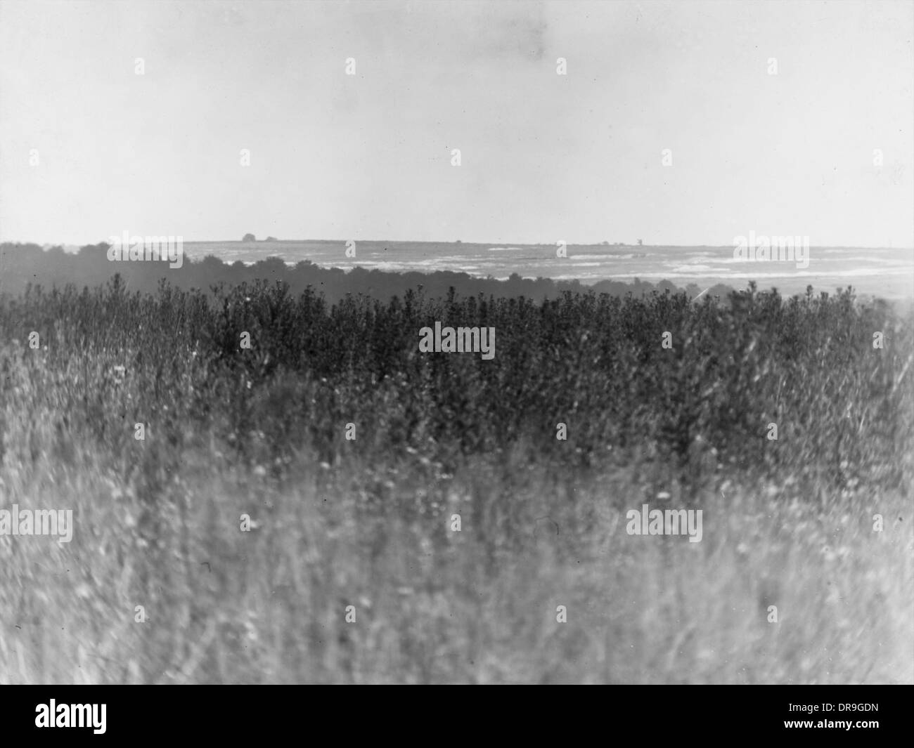 Somme landscape hi-res stock photography and images - Alamy