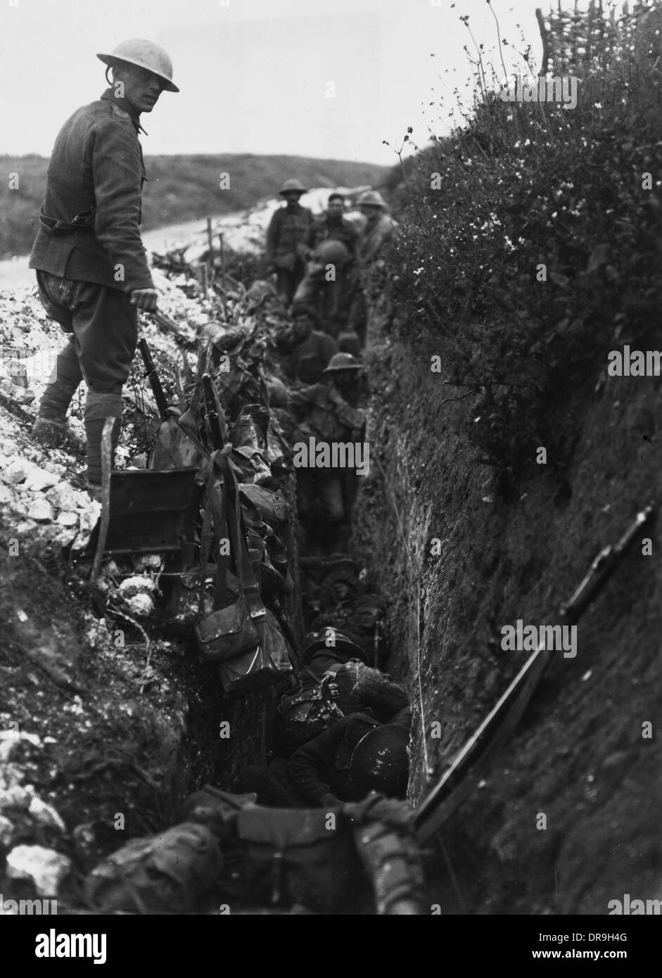 Beaumont hamel 1916 hi-res stock photography and images - Alamy